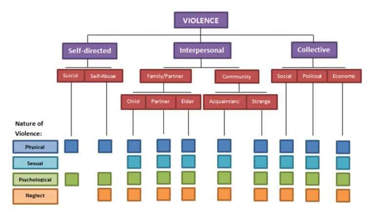 Categories and Types Of Violence